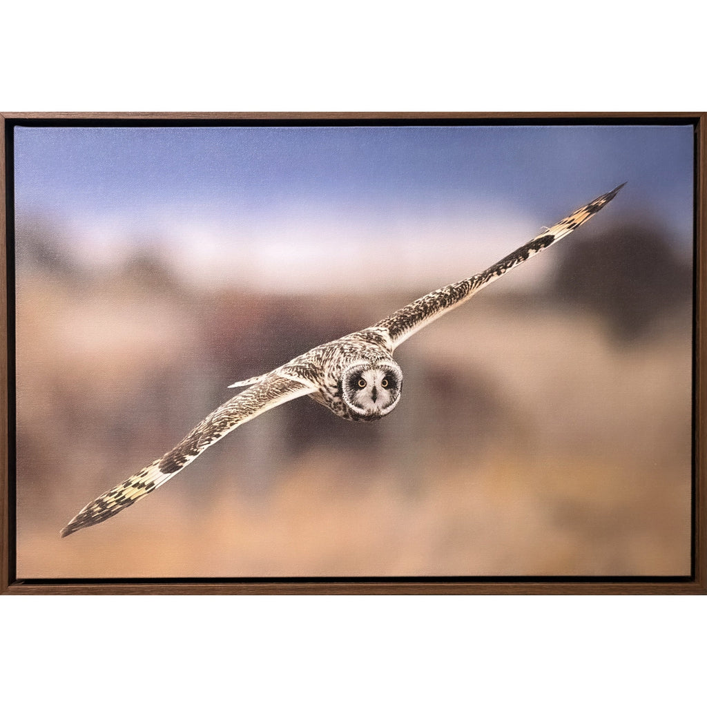 Jane Kelley "Shorty In Flight" – The Kalled Gallery